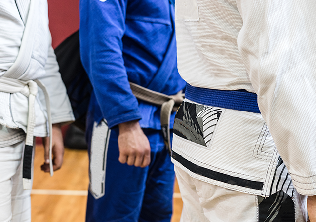 UIJJ - Unione Italiana JIU JITSU